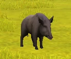 Boar | WildCraft Wiki | Fandom