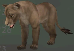 Valley Lion | WildCraft Wiki | Fandom