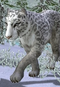 Snow Leopard | WildCraft Wiki | Fandom