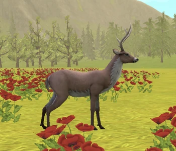 Deer (Enemy) | WildCraft Wiki | Fandom