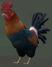 Rooster | WildCraft Wiki | Fandom