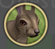 Hare | WildCraft Wiki | Fandom