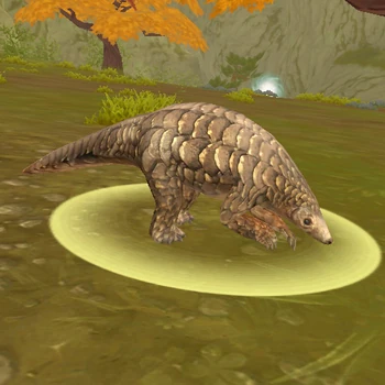 Pangolin | WildCraft Wiki | Fandom