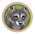Pets | WildCraft Wiki | Fandom