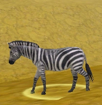 Zebra | WildCraft Wiki | Fandom