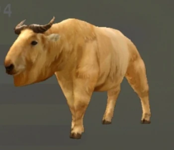 Golden Takin | WildCraft Wiki | Fandom