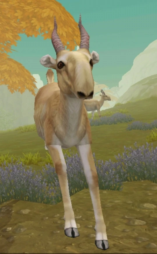 Saiga Antelope | WildCraft Wiki | Fandom