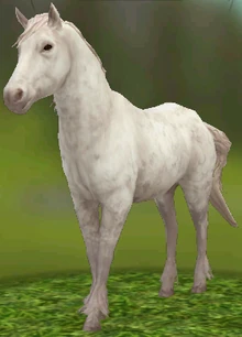 Pets | WildCraft Wiki | Fandom