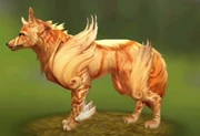 Wolf (Playable animal) | WildCraft Wiki | Fandom