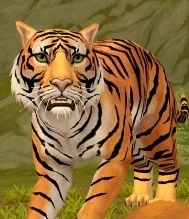 Tiger (Enemy) | WildCraft Wiki | Fandom