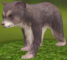Pets | WildCraft Wiki | Fandom