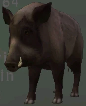 Japanese Boar | WildCraft Wiki | Fandom