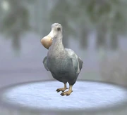 Pets | WildCraft Wiki | Fandom