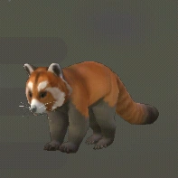 Red Panda | WildCraft Wiki | Fandom