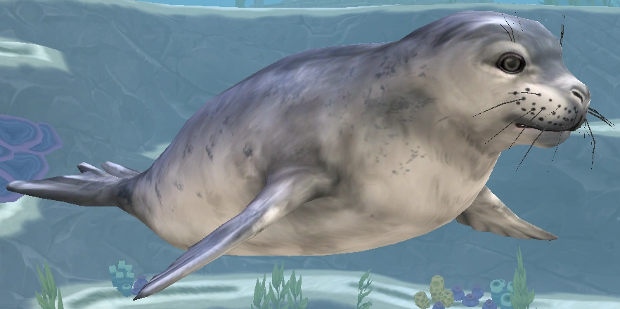 Seal | WildCraft Wiki | Fandom