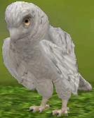 Pets | WildCraft Wiki | Fandom