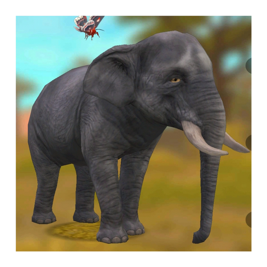 Elephant | WildCraft Wiki | Fandom
