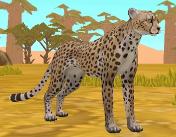 Cheetah (Playable Animal) | WildCraft Wiki | Fandom