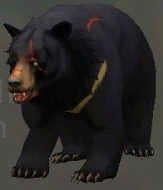 Asiatic Black Bear | WildCraft Wiki | Fandom