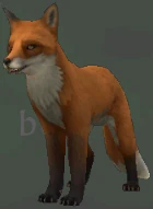 Red Fox | WildCraft Wiki | Fandom