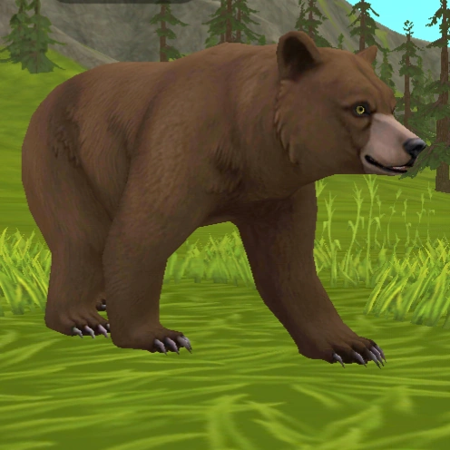 Bear | WildCraft Wiki | Fandom