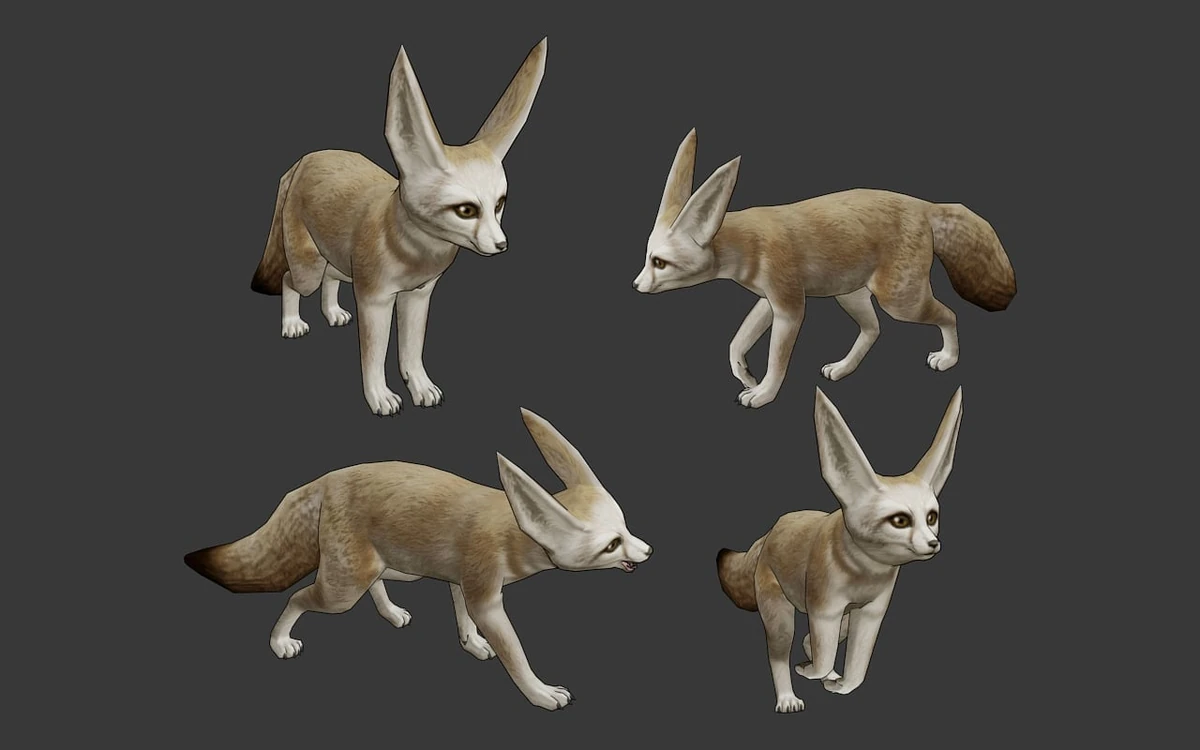 Fennec | WildCraft Wiki | Fandom