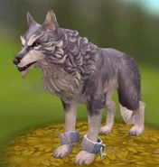 Mystic | WildCraft Wiki | Fandom