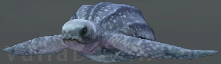 Leatherback sea turtle | WildCraft Wiki | Fandom