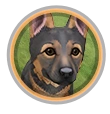 Pets | WildCraft Wiki | Fandom
