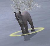 Lynx (enemy) | WildCraft Wiki | Fandom