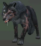 Old Wolf | WildCraft Wiki | Fandom