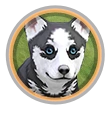 Pets | WildCraft Wiki | Fandom