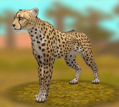 Gepard | WildCraft Wiki | Fandom