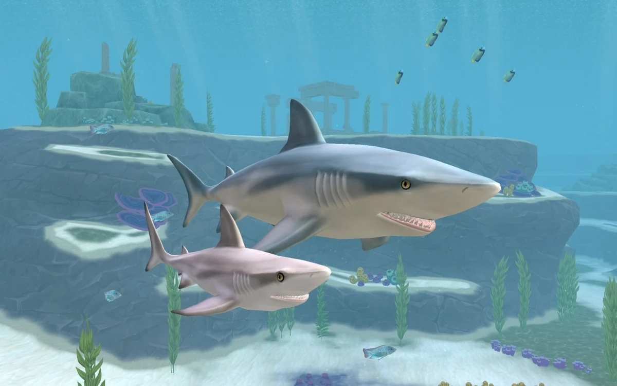Shark | WildCraft Wiki | Fandom