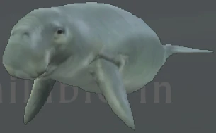 Dugong | WildCraft Wiki | Fandom