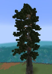 Ancient Tree | WilderCraft Wiki | Fandom