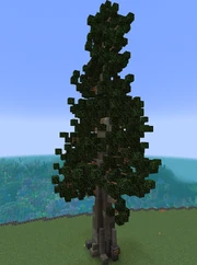 Ancient Tree | WilderCraft Wiki | Fandom