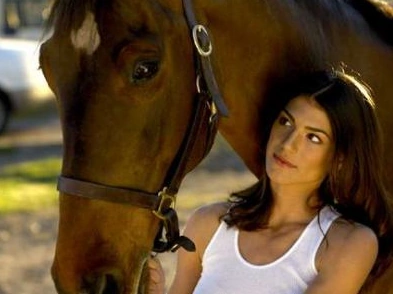 Wildfire | Wildfire Wiki | Fandom