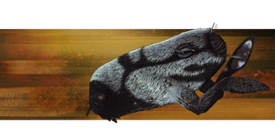 Spink | Wild Future Wiki | Fandom