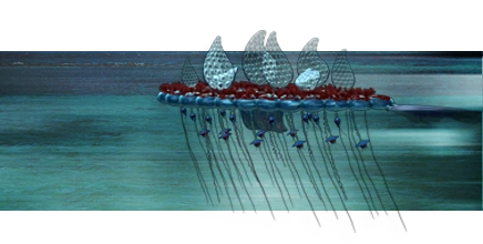 Ocean phantom | Wild Future Wiki | Fandom