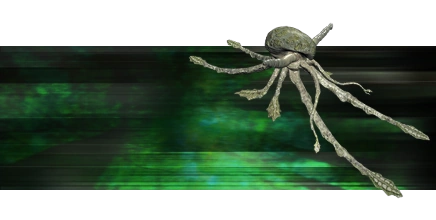 Squibbon | Wild Future Wiki | Fandom