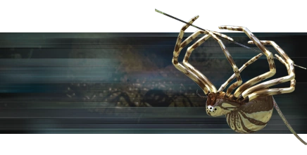 Silver Spider | Wild Future Wiki | Fandom