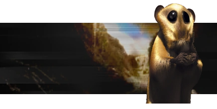 Poggle | Wild Future Wiki | Fandom