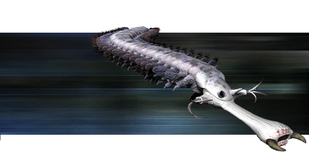 Slickribbon | Wild Future Wiki | Fandom