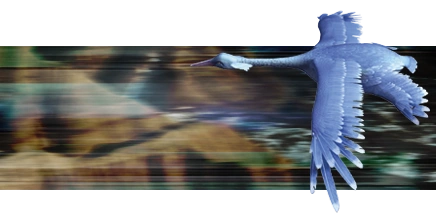 Great Blue Windrunner | Wild Future Wiki | Fandom