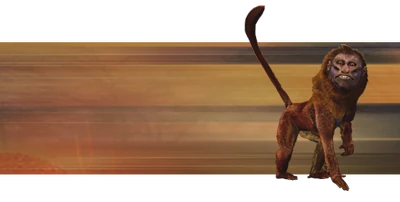 Babookari | Wild Future Wiki | Fandom