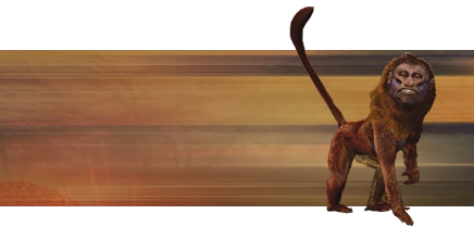 Babookari | Wild Future Wiki | Fandom