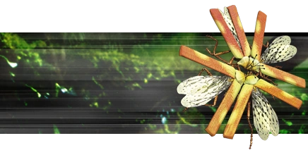 Spitfire Beetle | Wild Future Wiki | Fandom