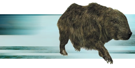 Shagrat | Wild Future Wiki | Fandom