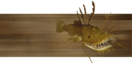 Lurkfish | Wild Future Wiki | Fandom